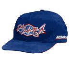 ..Dale Earnhardt Jr AC Delco Diamond cap
